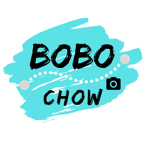 Logo Design – Bo Chow