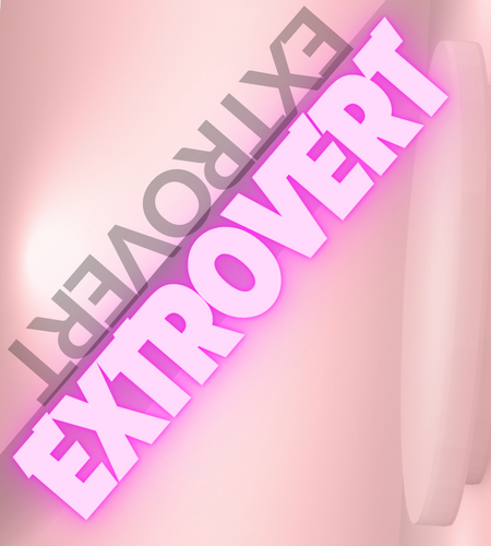 Introvert vs Extrovert – Bo Chow